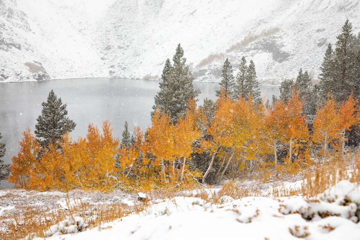 Stunning California photos capture how snow meets fall in 'snowliage'