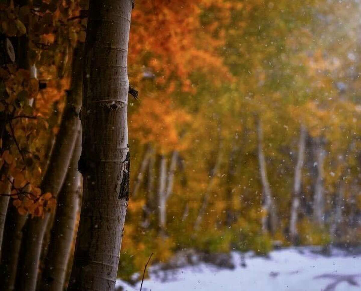Stunning California photos capture how snow meets fall in 'snowliage'