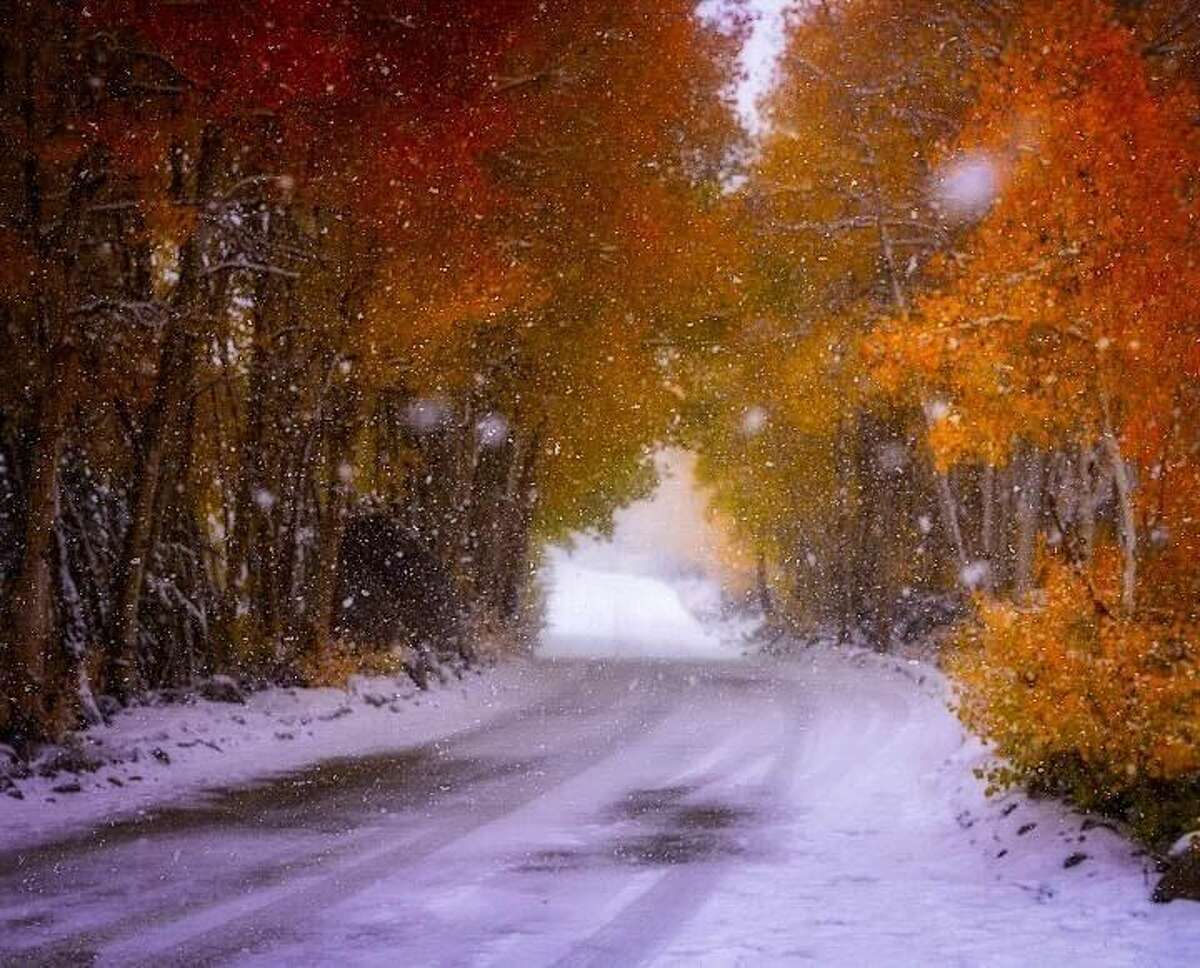 Stunning California photos capture how snow meets fall in 'snowliage'