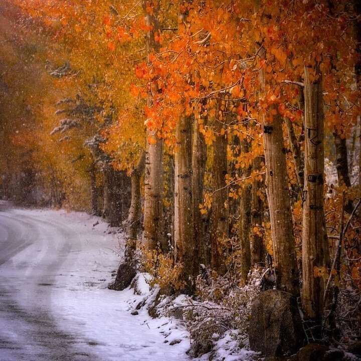Stunning California photos capture how snow meets fall in 'snowliage'