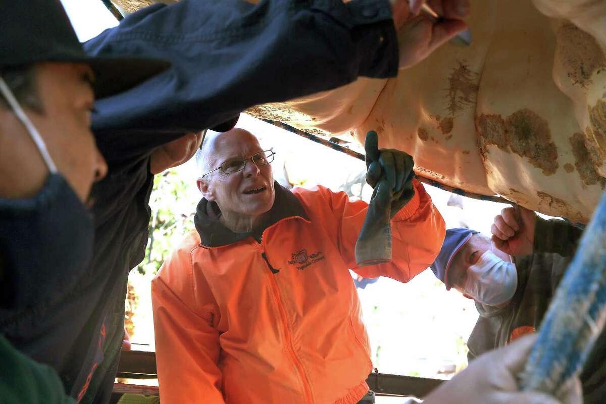 See the 1-ton gourd that triumphed in Half Moon Bay pumpkin contest