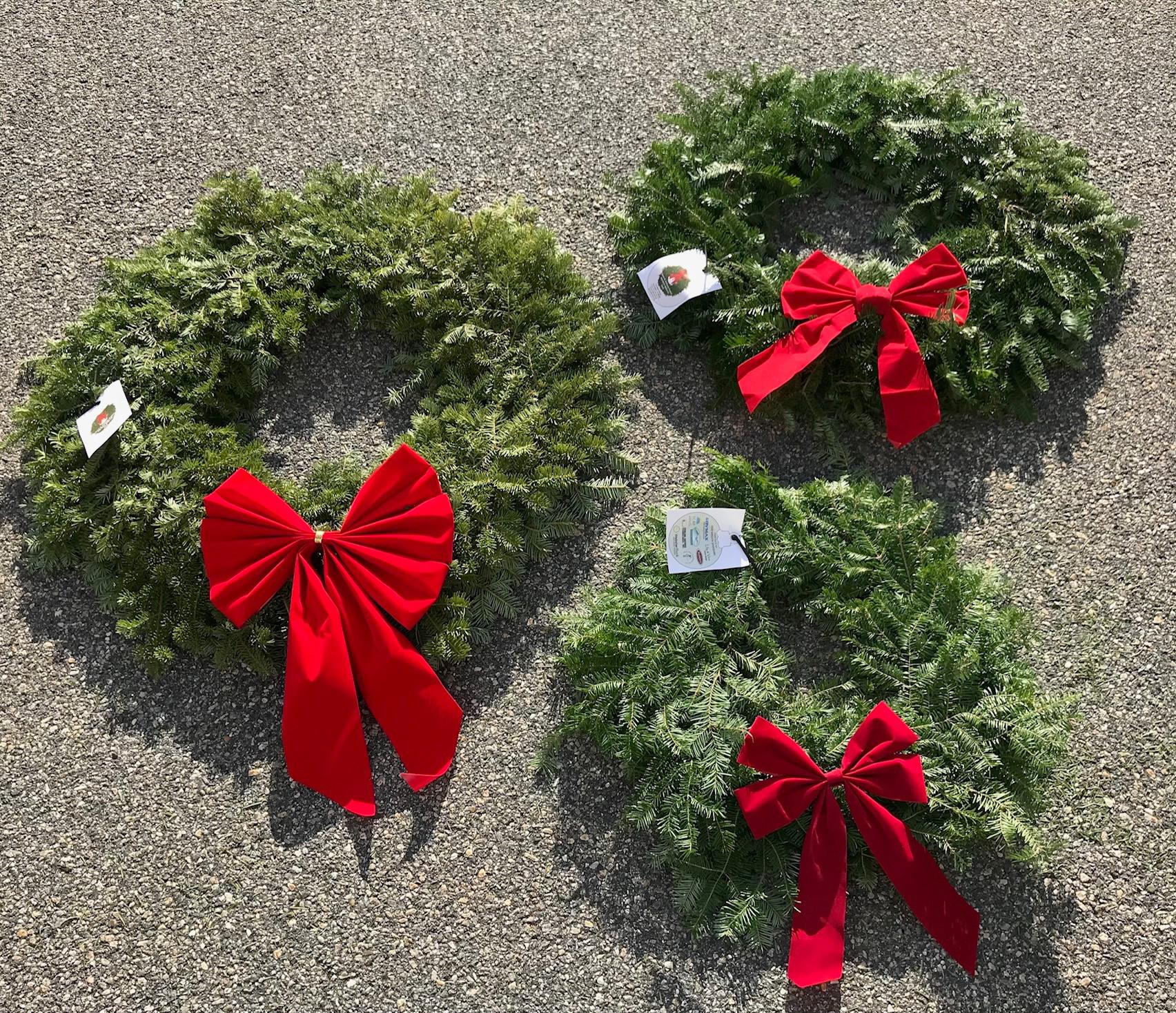 Susan B. Anthony Project taking wreath sale orders for holiday fundraiser