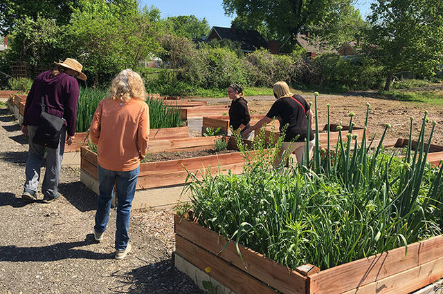 ‘Nine happy composting women’
