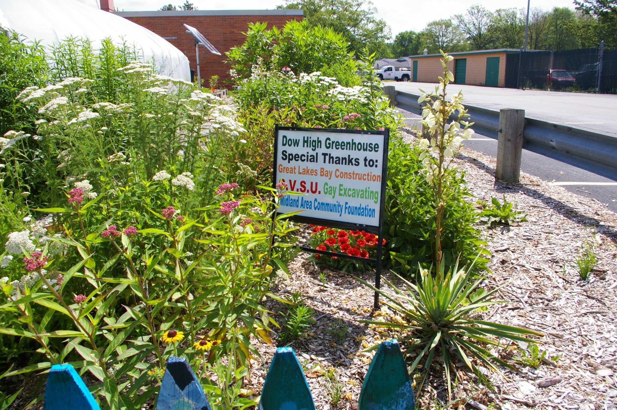 High school students going all out with GO GREEN, Green Club