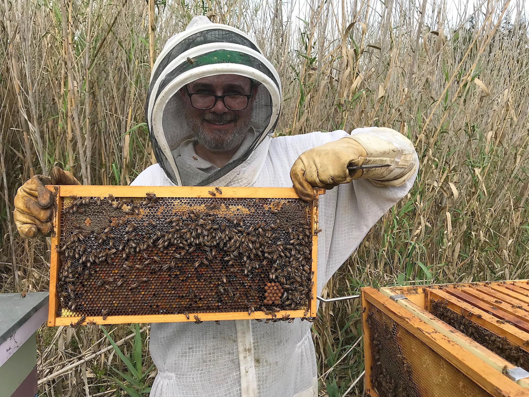 Harris County beekeeper group has been buzzing for 113 years