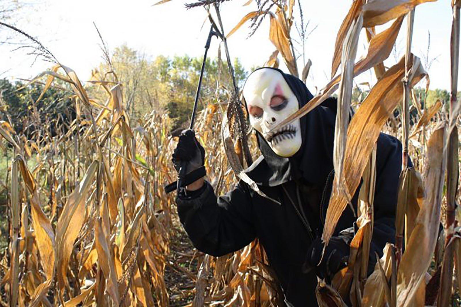 Haunted attractions, fall festivals highlight October fun