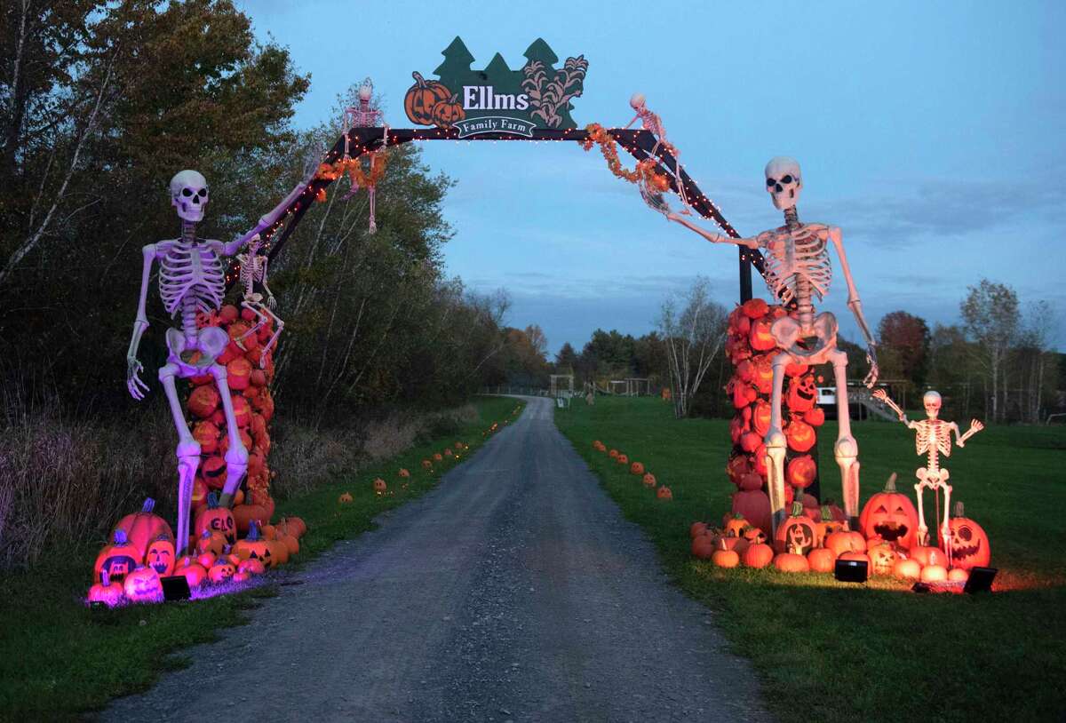 Ellms Family Farm plans alcohol-based agritourism project