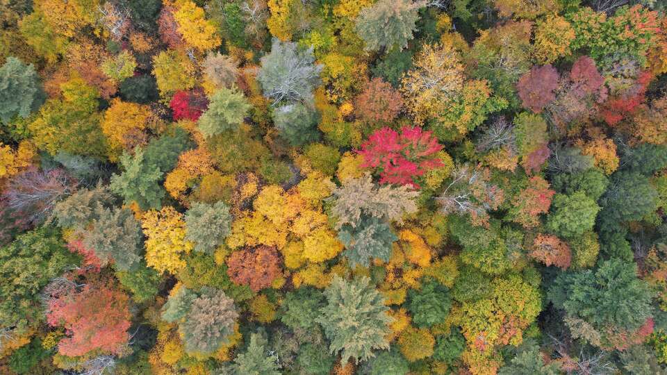 Leaf-peeping trip in CT: When and where to catch fall foliage