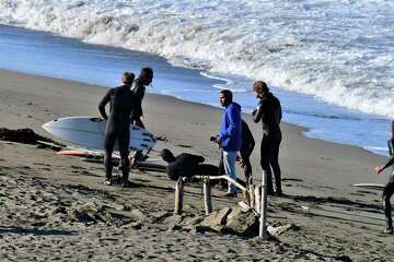 The surfer who survived a shark attack on the Sonoma coast recounts his ...