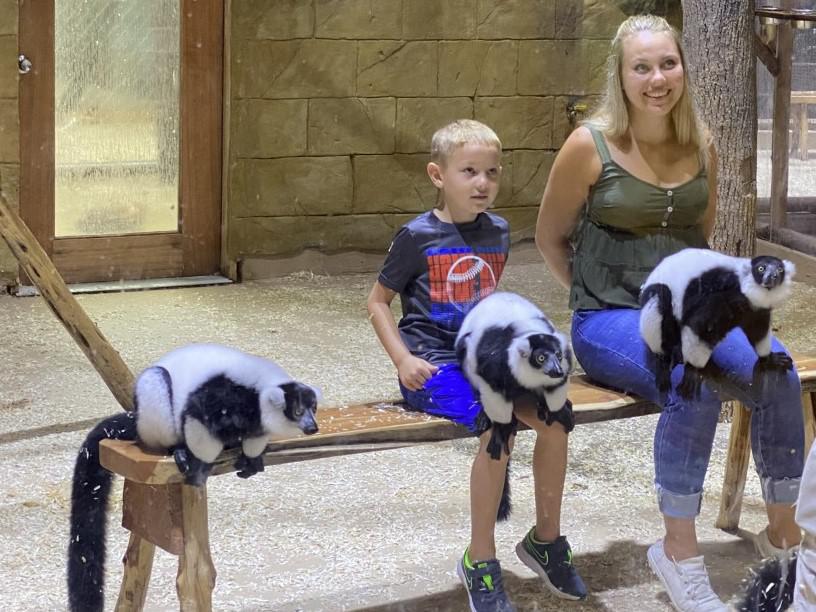 Interactive Aquarium offers hands-on experience for animal lovers
