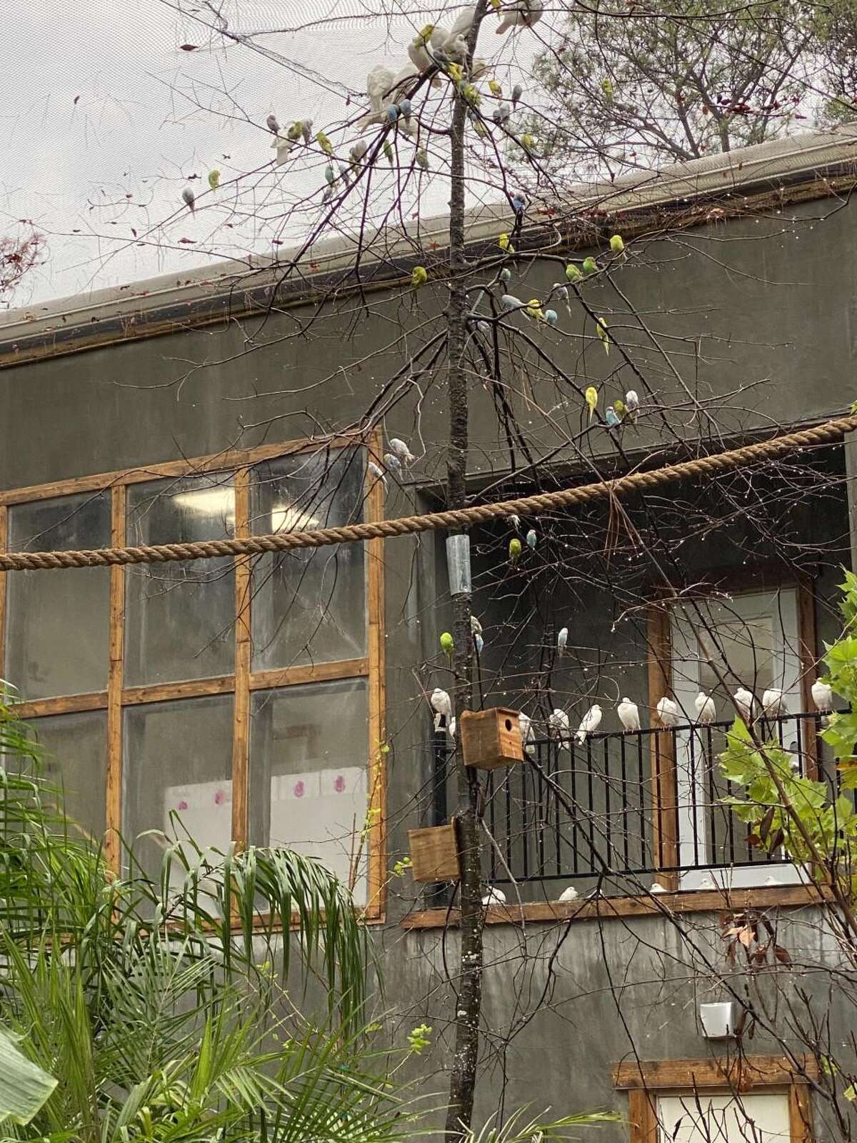 Interactive Aquarium offers hands-on experience for animal lovers