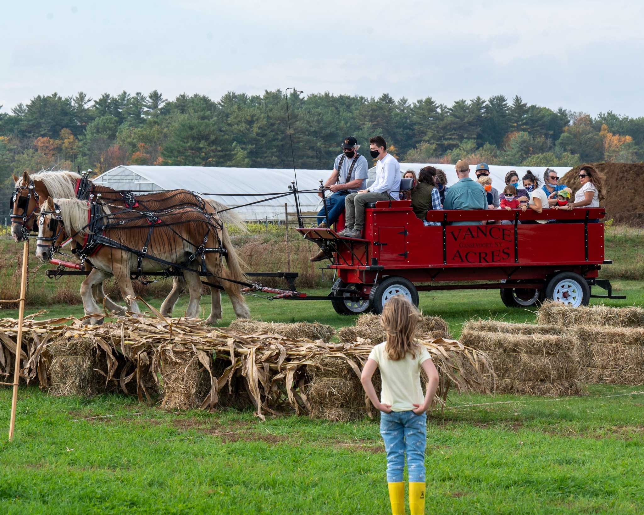 Photos: Enjoying a Jump Into Fall