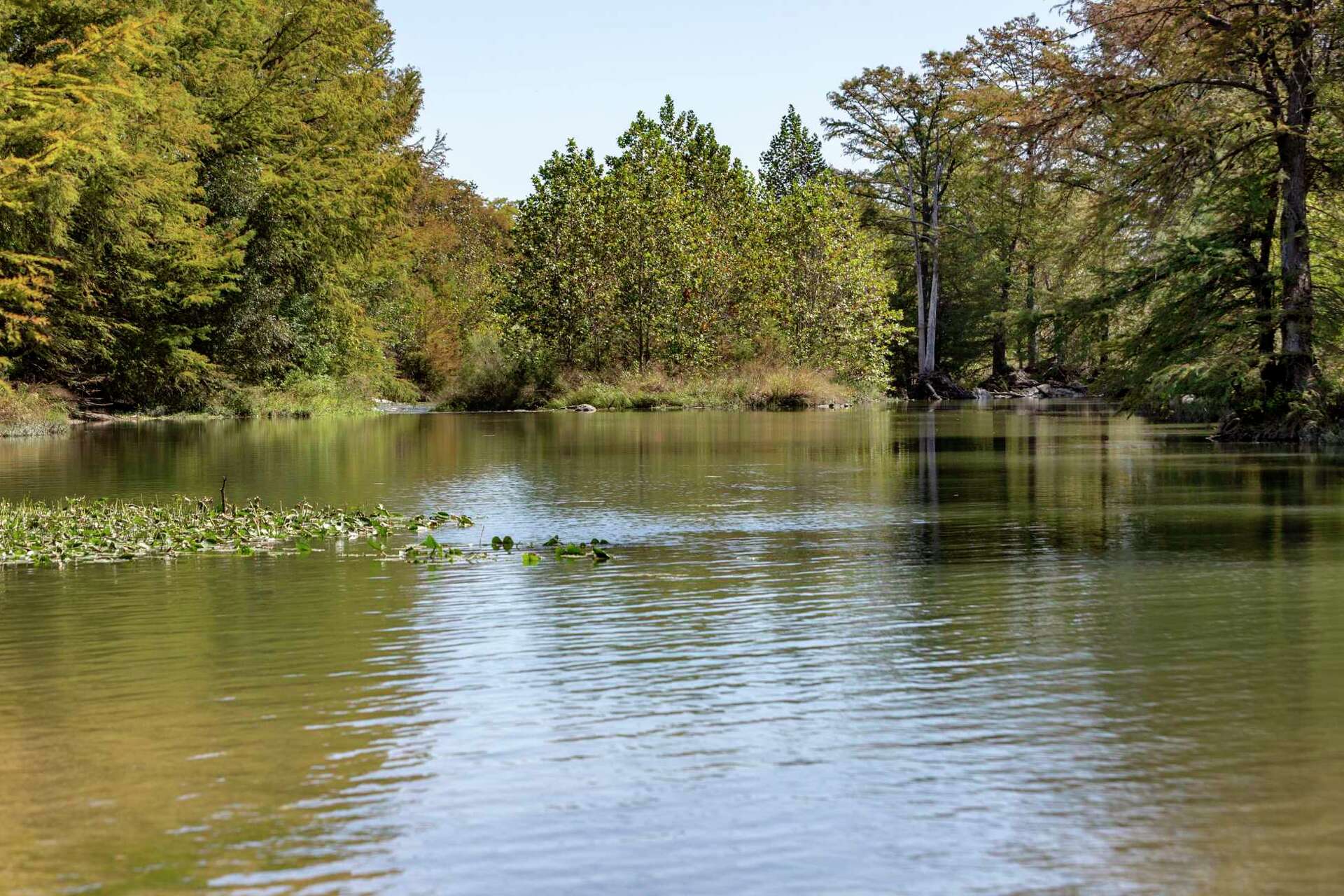 Three types of Guadalupe River mussels declared endangered