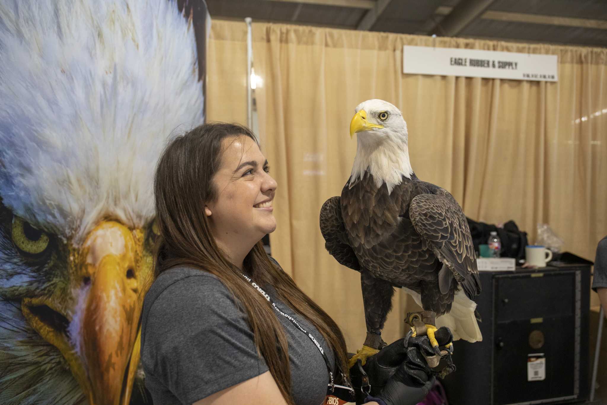 Challenger the bald eagle returns to the Permian Basin International ...