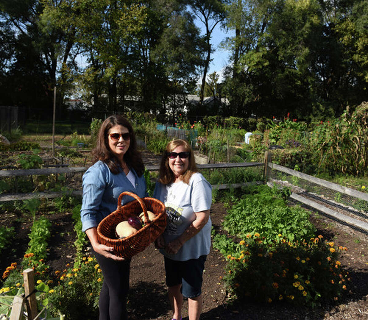 Lessons learned in the garden: Growing vegetables has a learning curve