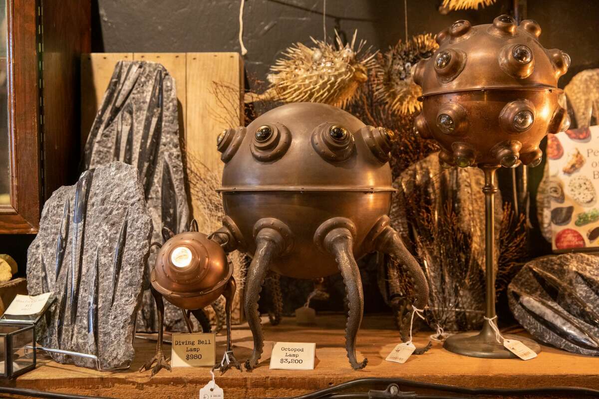 Stuffed giraffes, unicorns and other rare and strange goods at this SF shop