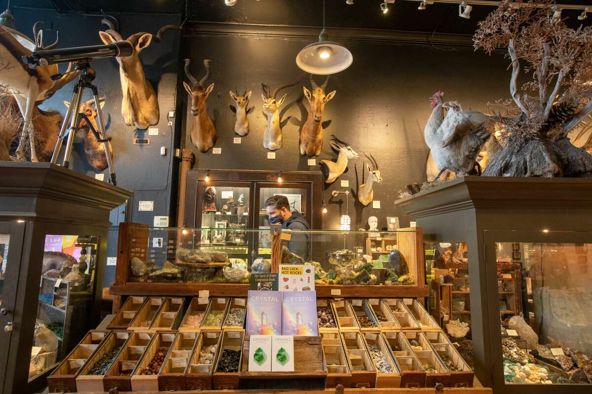 Stuffed giraffes, unicorns and other rare and strange goods at this SF shop