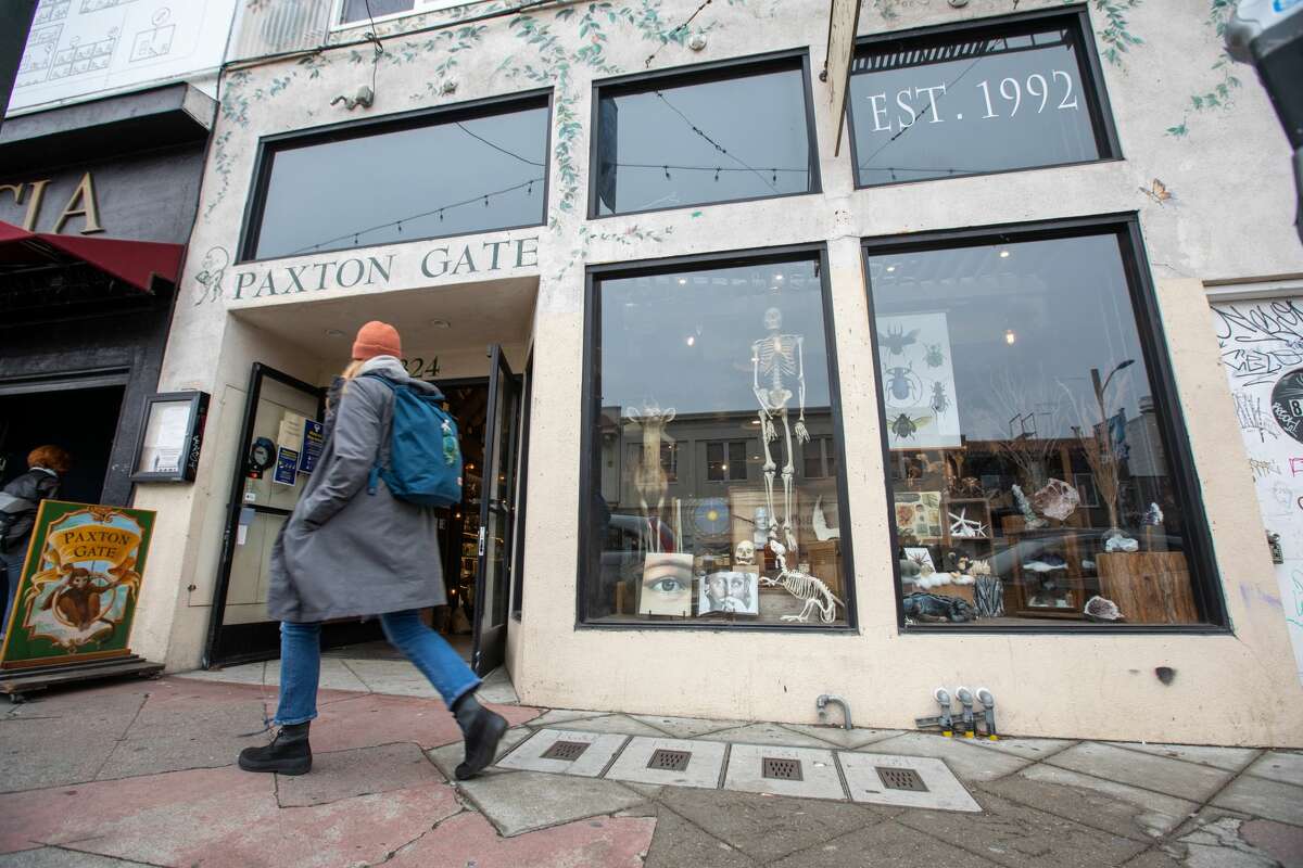 Stuffed giraffes, unicorns and other rare and strange goods at this SF shop