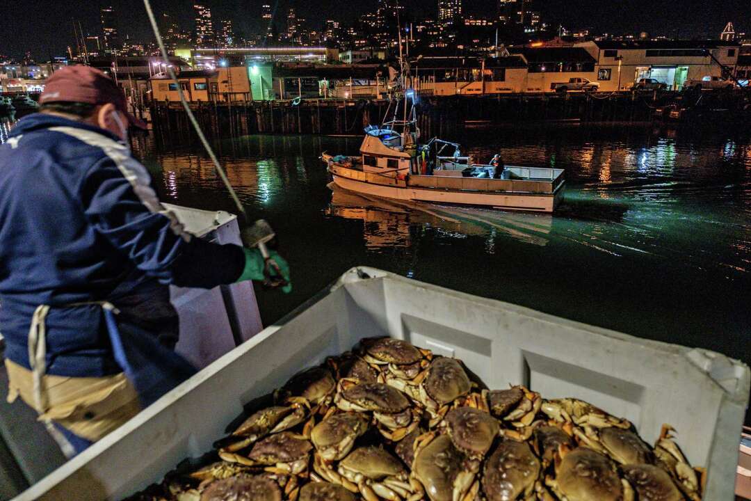 California announces continued delay to Bay Area Dungeness crab season ...
