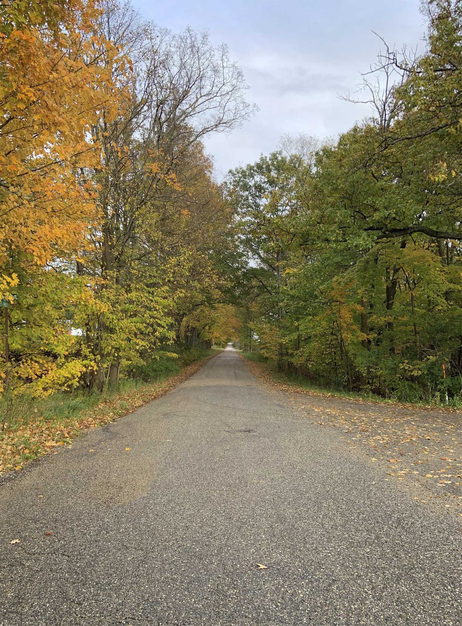 Mecosta County adds historical depth to color tour