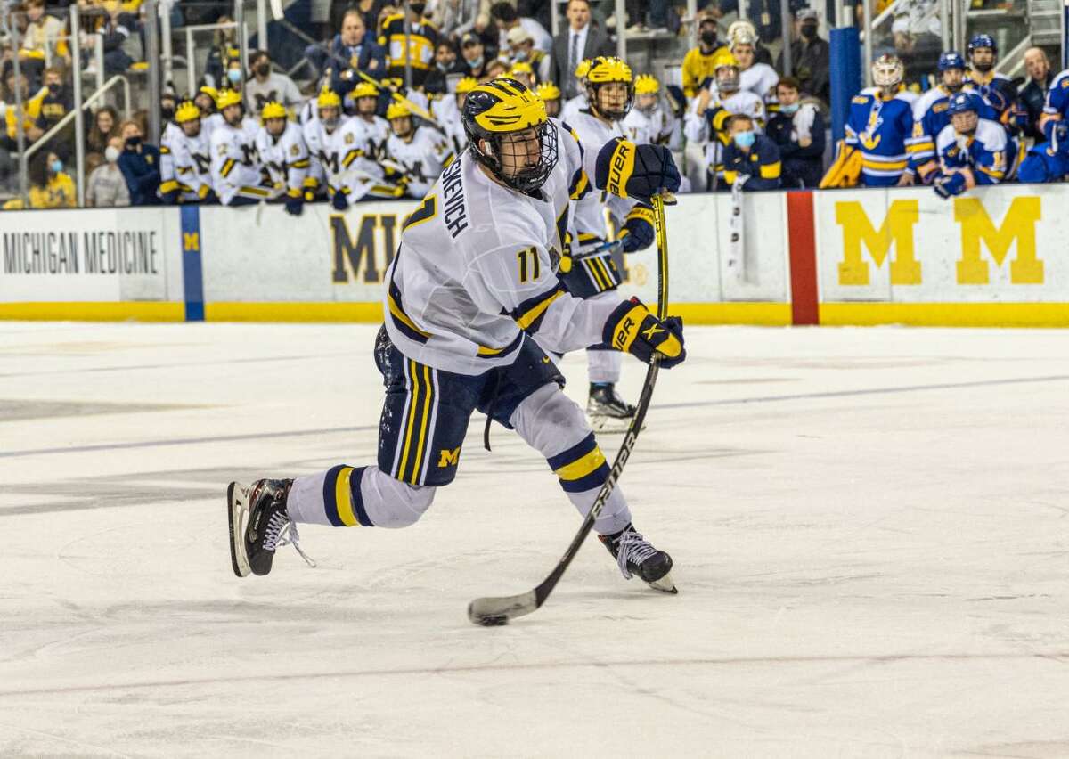 How Newtown’s Samoskevich siblings grew from backyard rink to ...