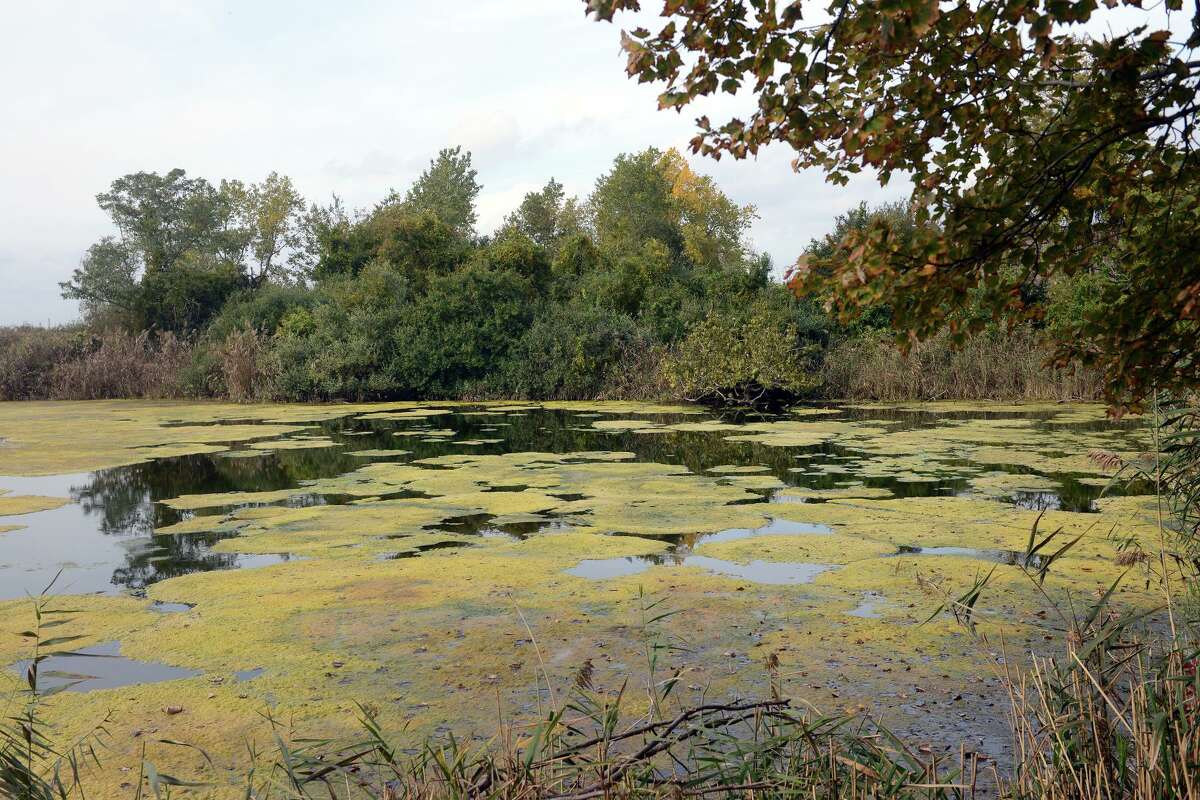 $4 million project will restore 33 acres of Stratford marsh land