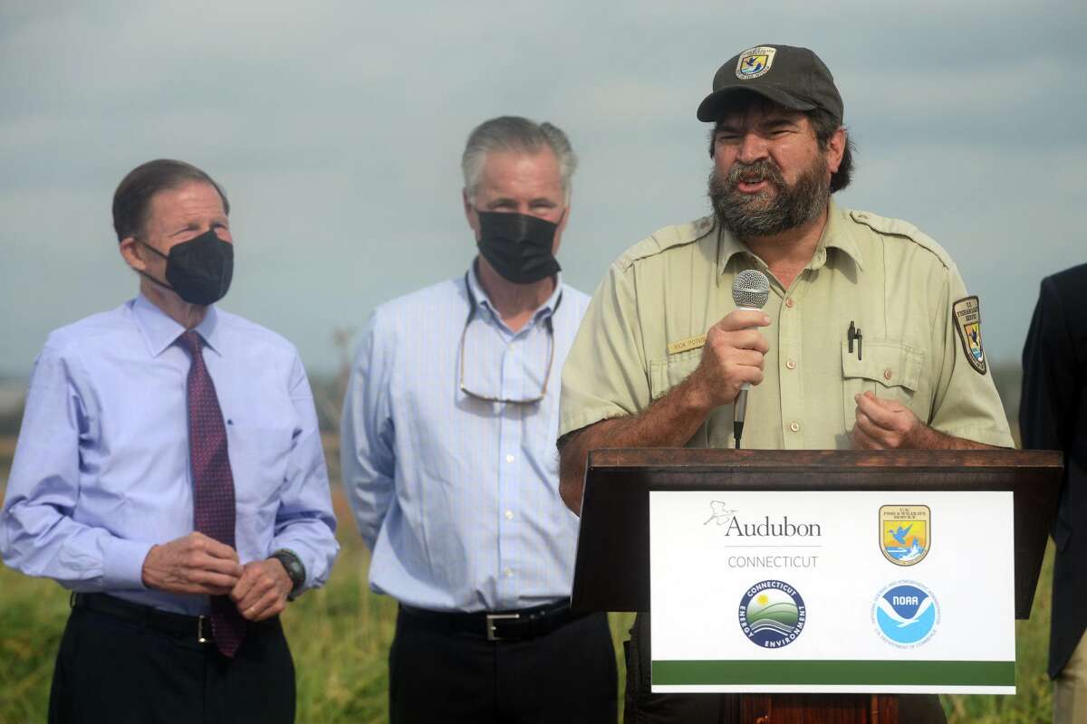 $4 million project will restore 33 acres of Stratford marsh land