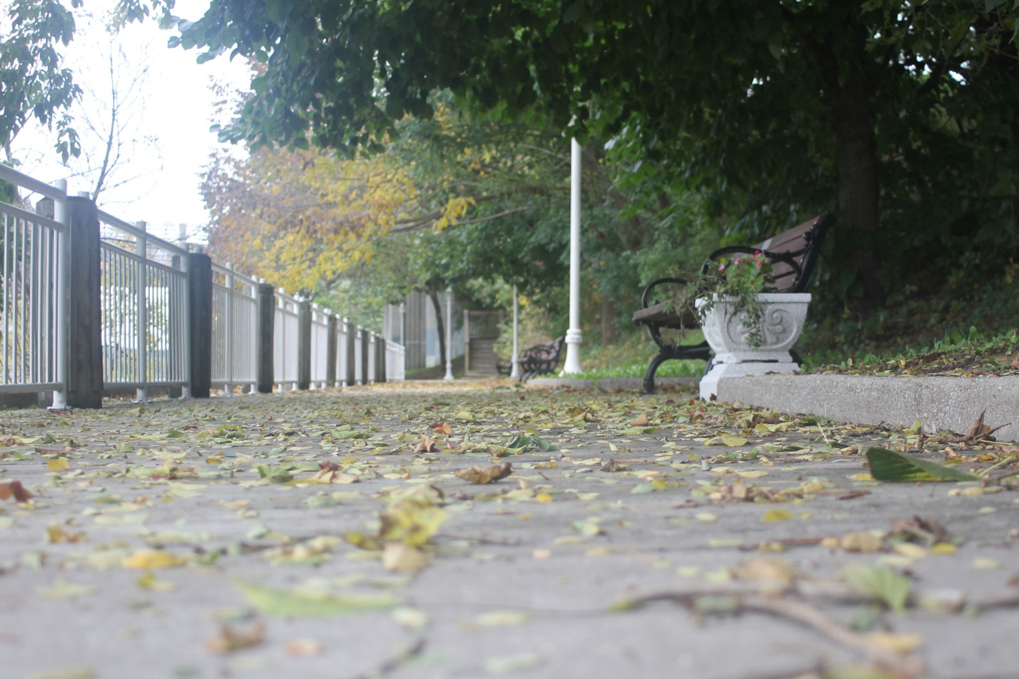 Photos: Check out these autumn views from the Manistee Riverwalk