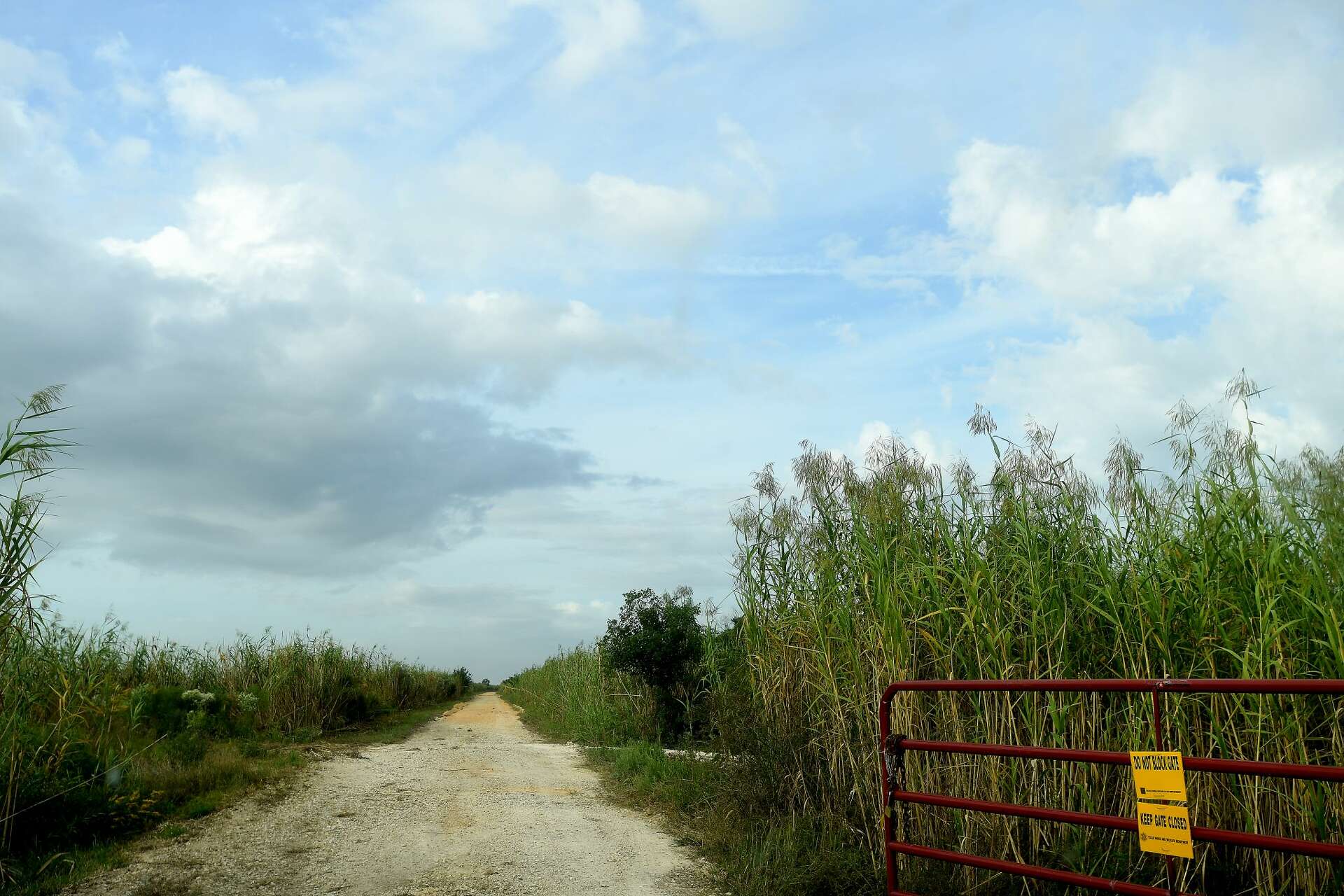 Salt Bayou Marsh restoration prepared for hurricane season
