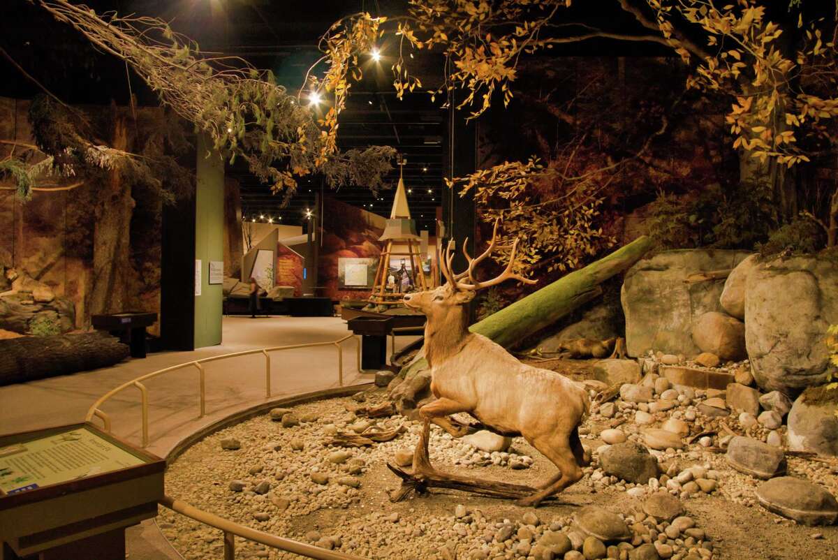 New York State Museum plans to renovate and update exhibits