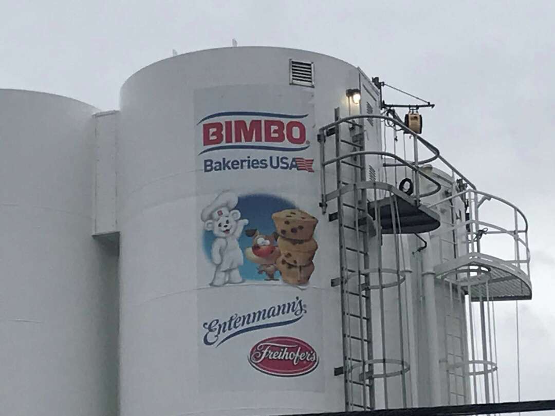 Freihofer's chocolate chip cookies are back