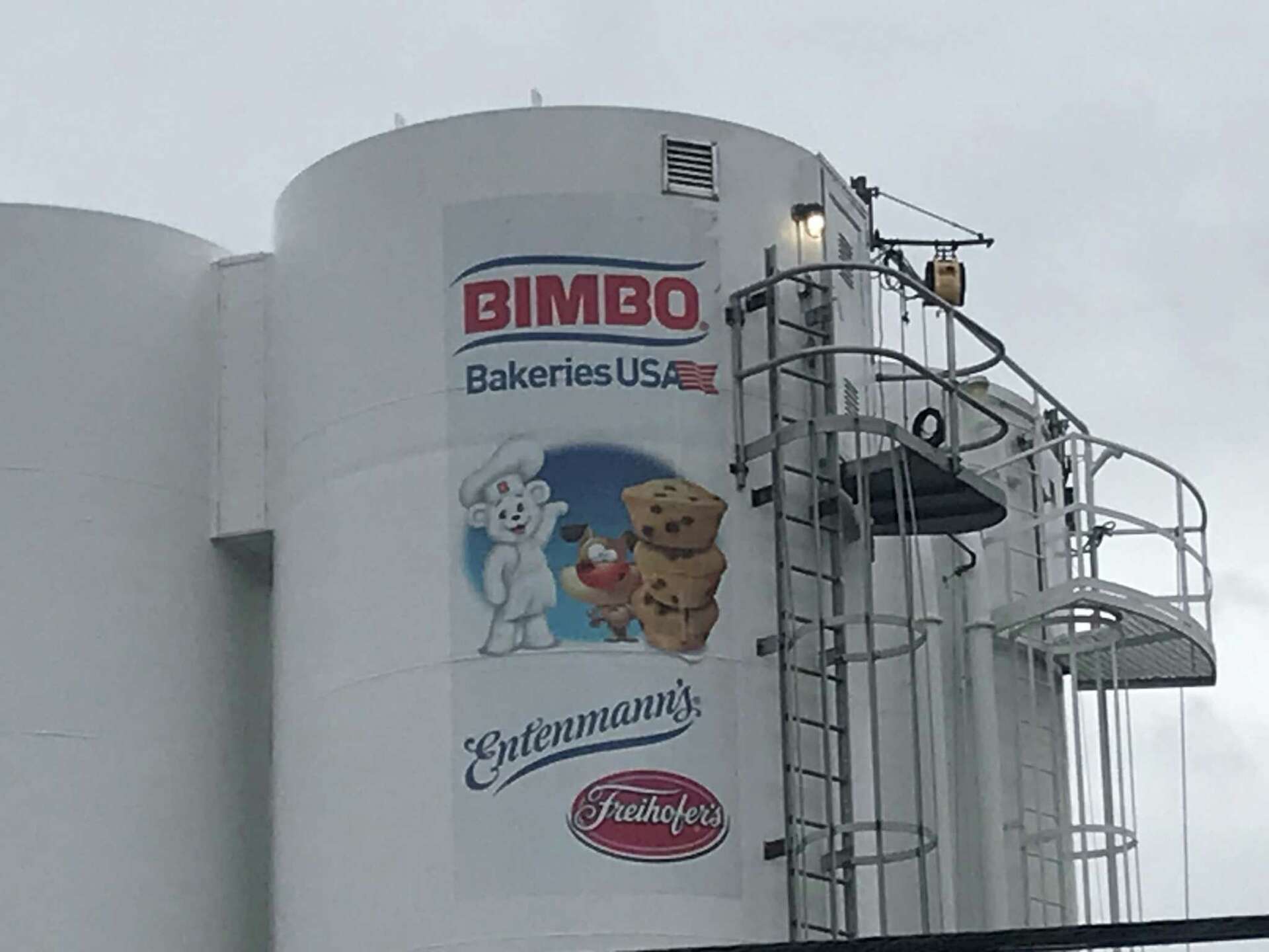 Iconic Freihofer's chocolate chip cookies missing from shelves will ...