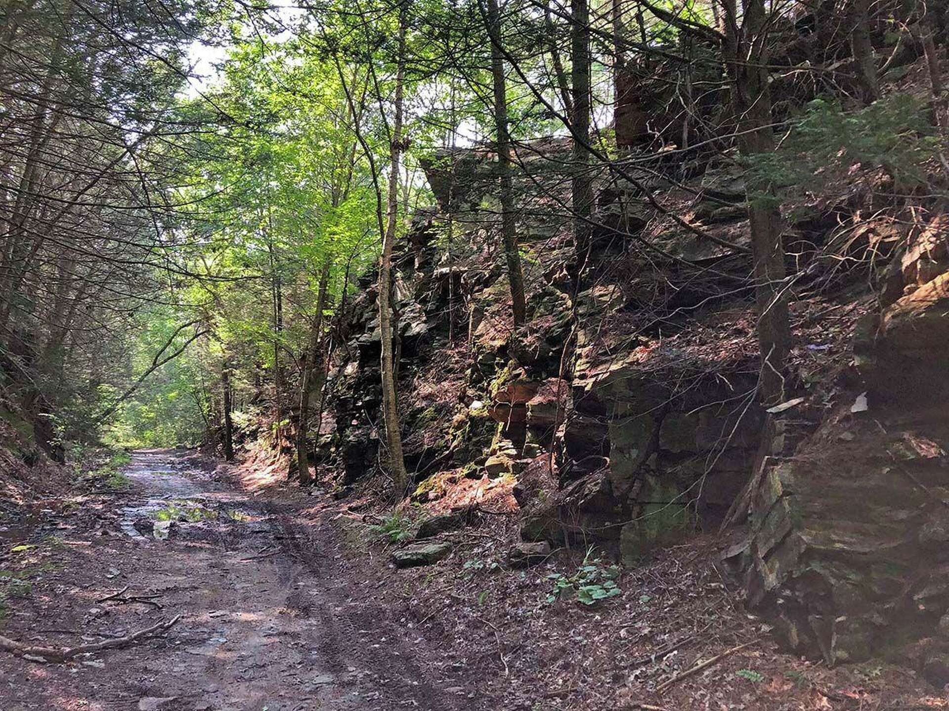Hiking column: Moosup Valley State Park Trail is a challenging hike ...
