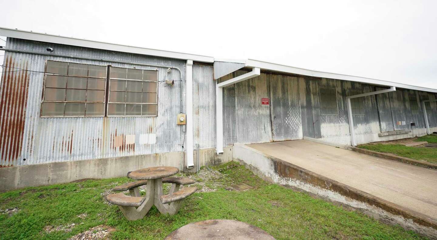 Grand jury clears Rodney Ellis in unusual African art case