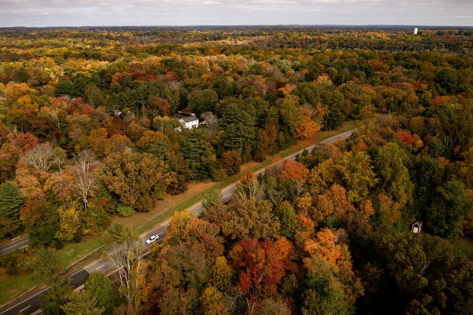 Leaf-peeping trip in CT: Where to catch fall foliage during its peak
