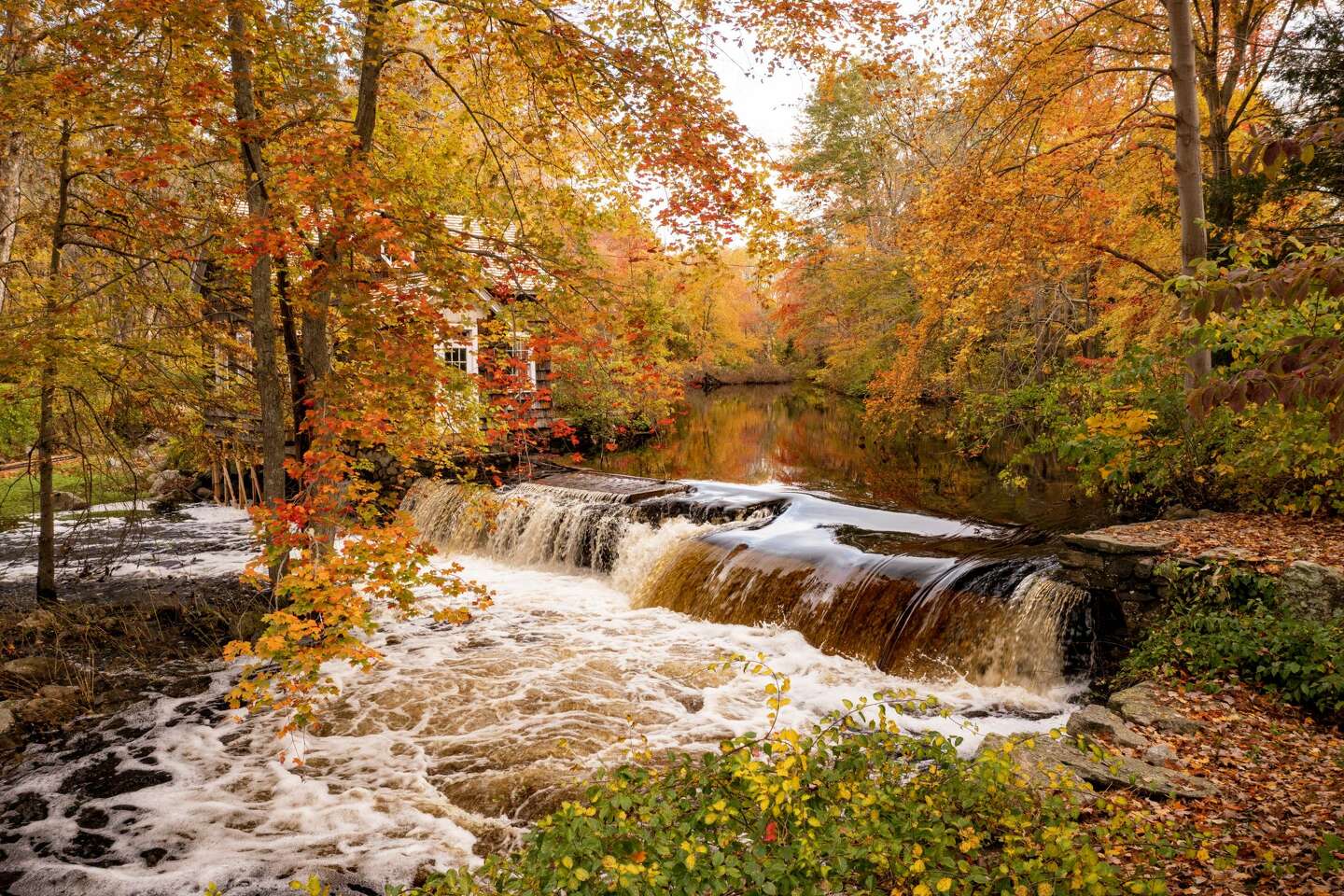 Leaf-peeping trip in CT: Where to catch fall foliage during its peak