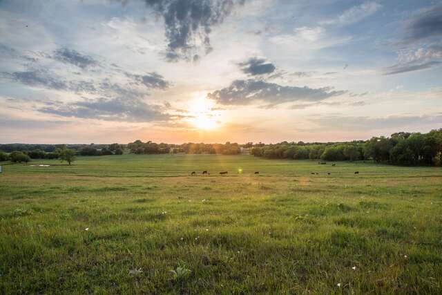 Newly sold ranch in East Bay could have been new state park