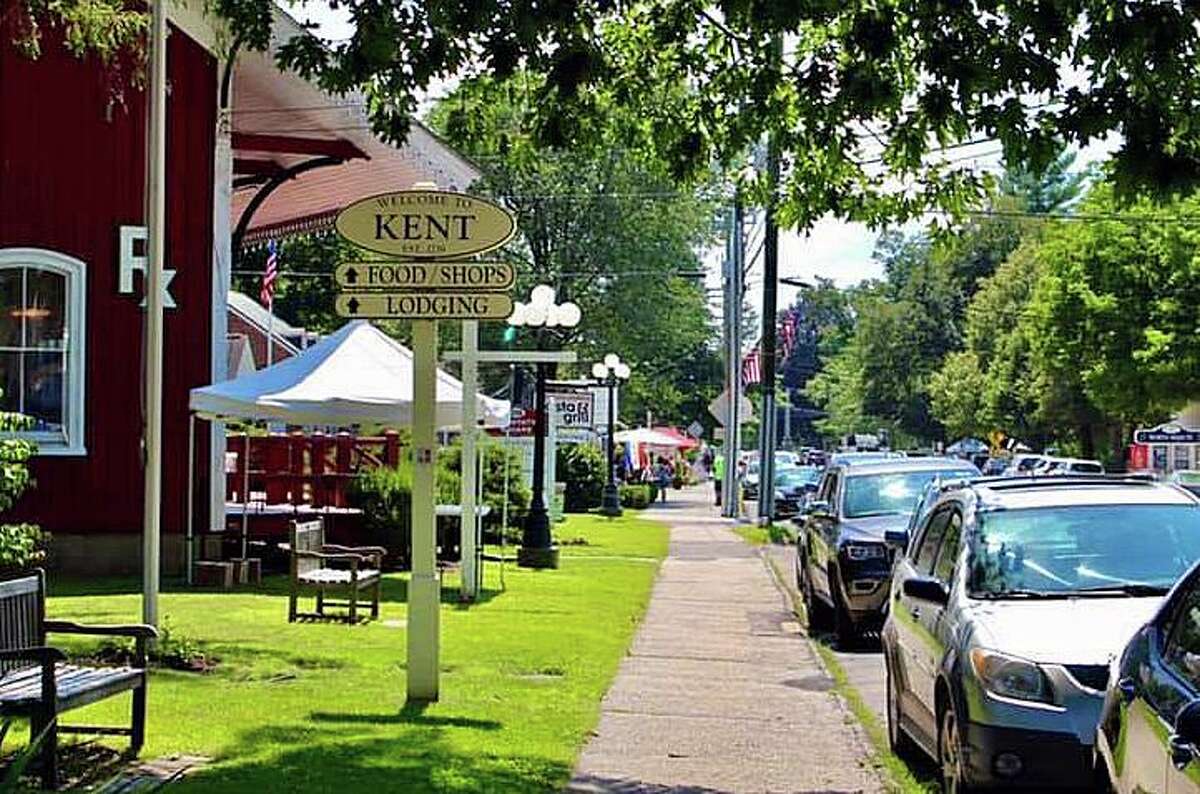 Highly invasive non-native plant found for first time in CT in Kent ...