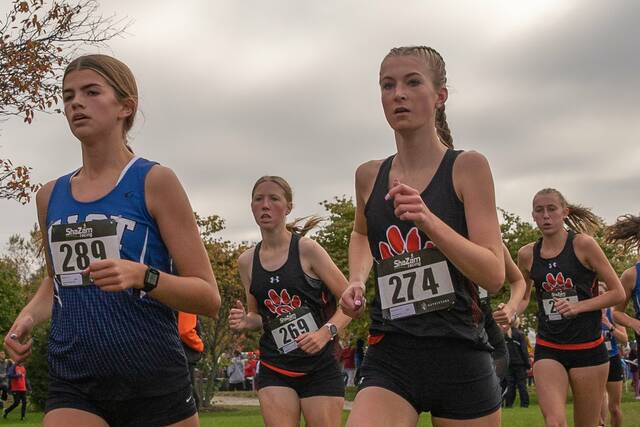 Tigers qualify both cross country teams for state meet