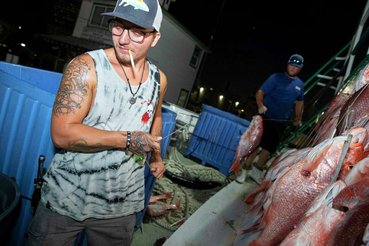 Too many fish you aren't allowed to catch? Why Gulf red snapper season ...