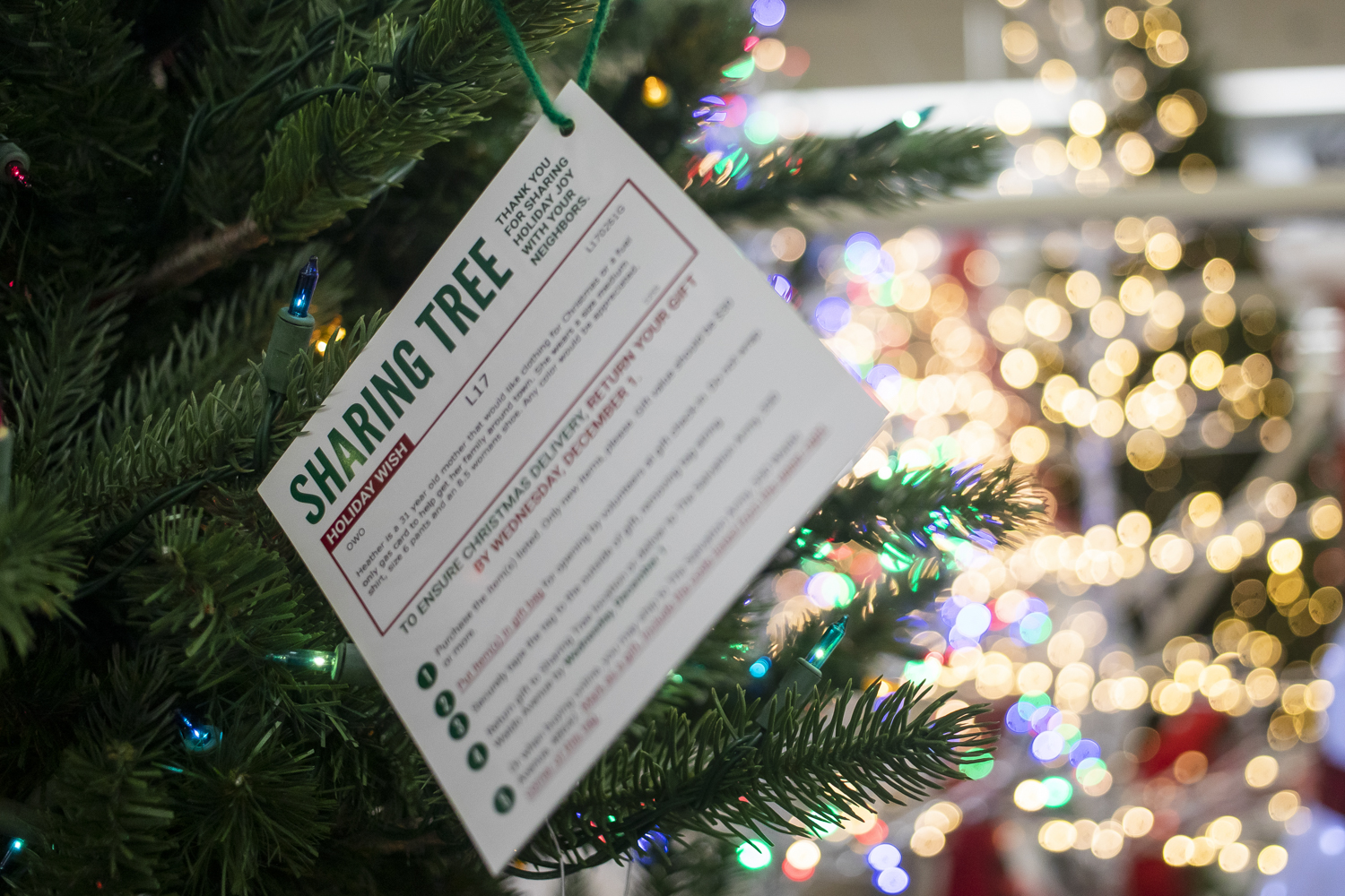 Sharing Tree program aims to help 3,300 Midland County residents