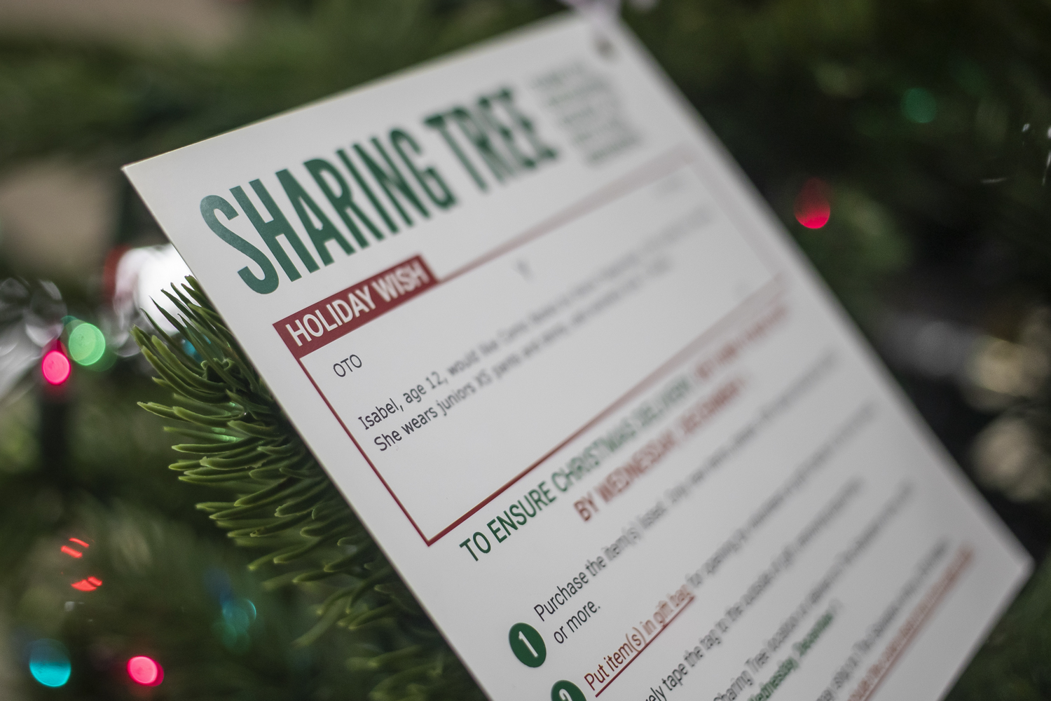 Sharing Tree grants holiday wishes for local families