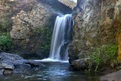 Alamere Falls: Everything to know about the Bay Area hike