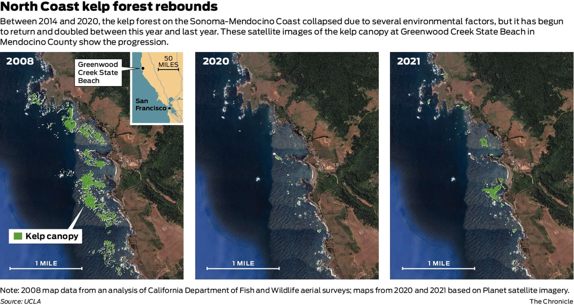 Satellite images show kelp forest has doubled in size on California’s ...