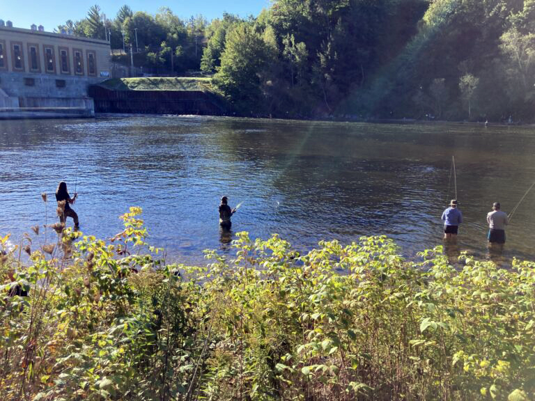 Push on to legalize snagging salmon