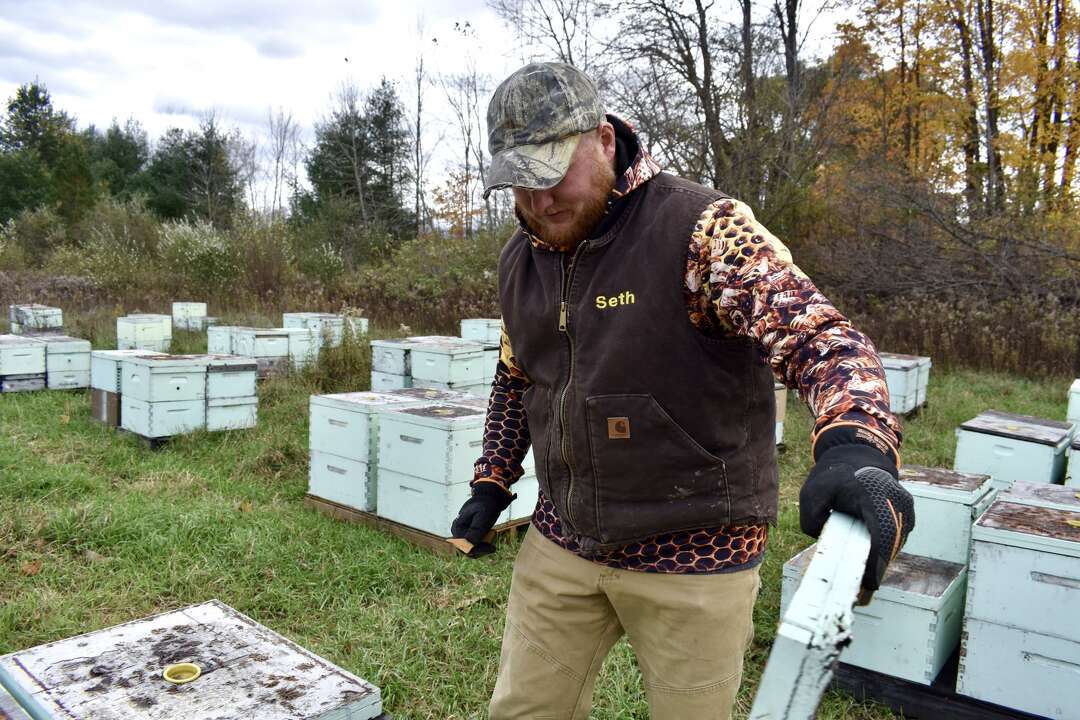 Find out how Lloyd Honey Farms winterizes honey bees
