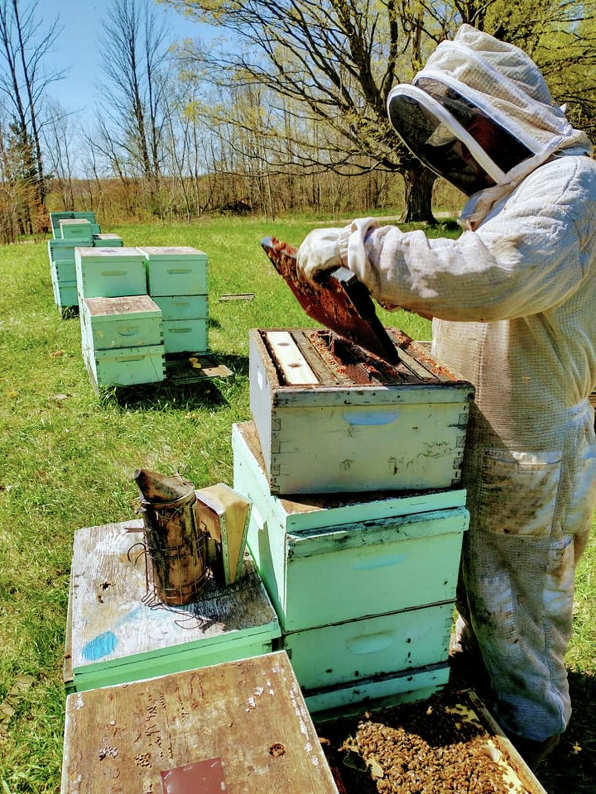 Find out how Lloyd Honey Farms winterizes honey bees