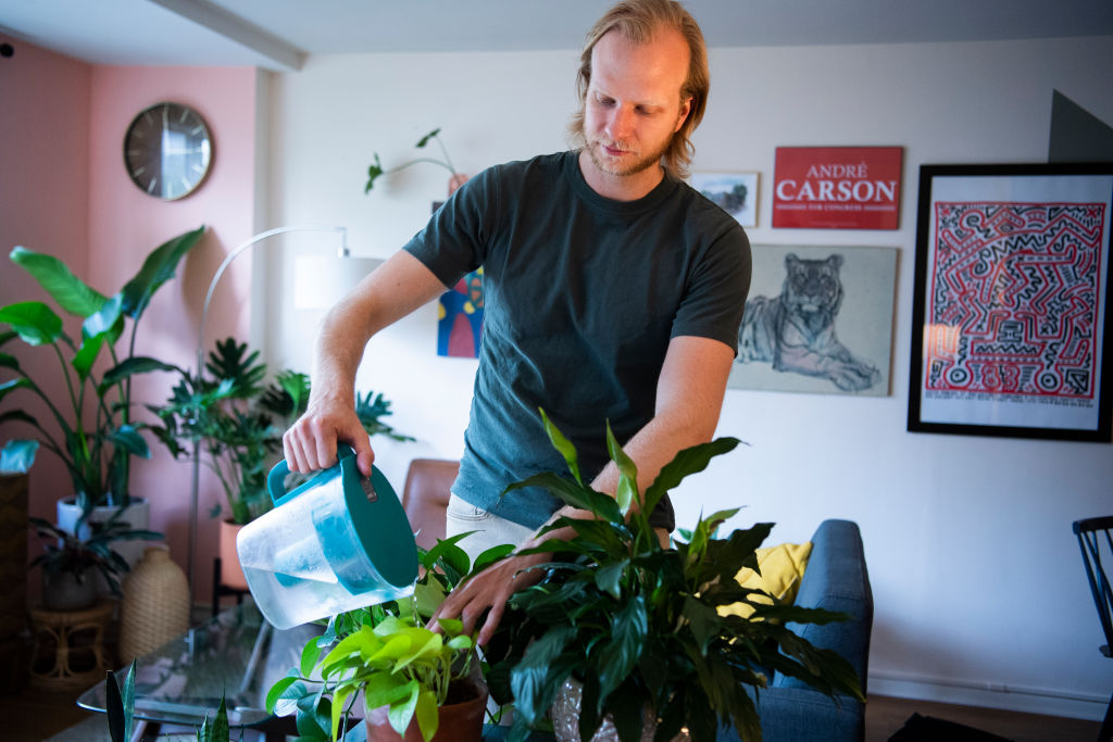 Plant Edema: Causes, Symptoms, and How to Prevent It