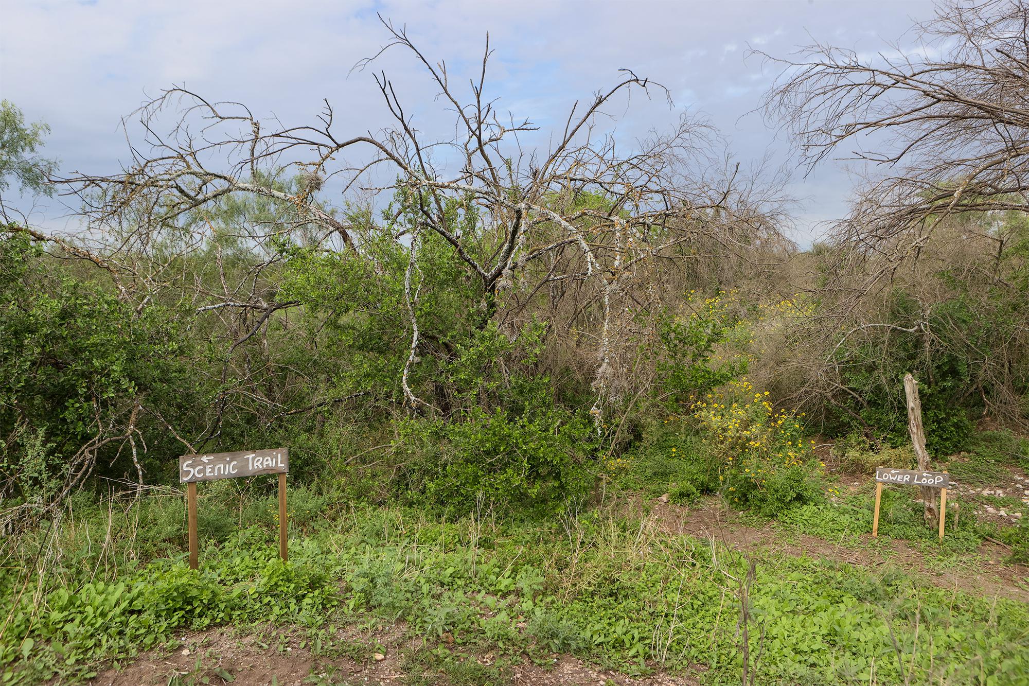 Converse to unveil its new park Saturday