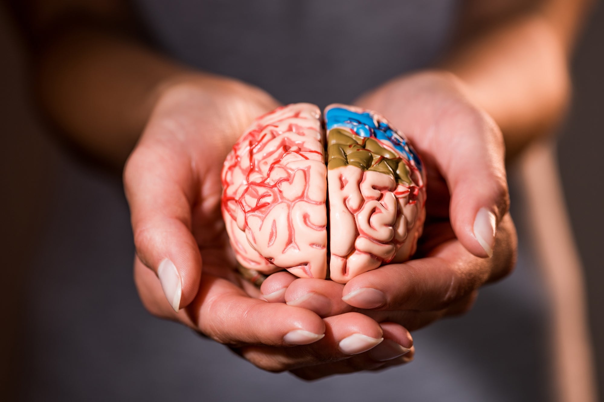 The agile brain: What is neuroplasticity and how we can use it to our ...